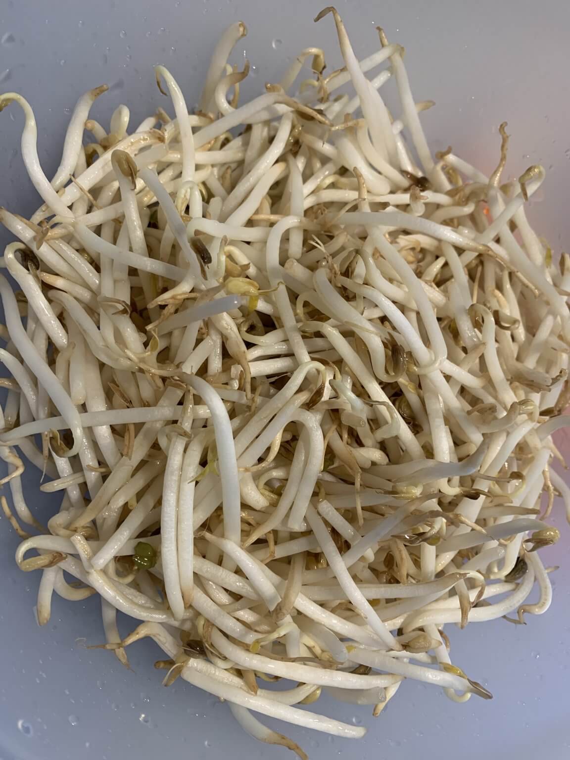 Poêlée de haricots mungo, poivrons et carottes - Rose en cuisine