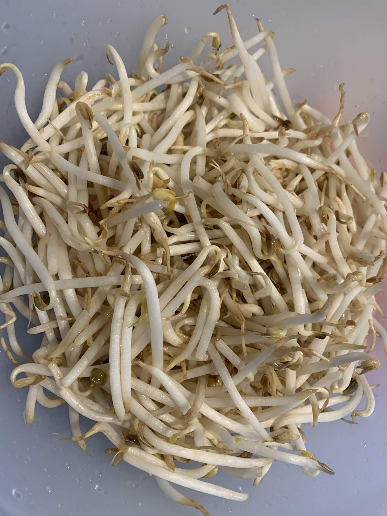 Poêlée de haricots mungo, poivrons et carottes - Rose en cuisine